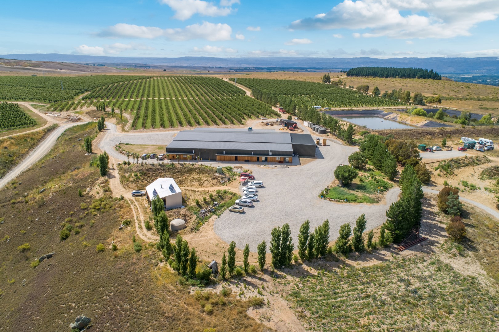 Clyde Cherry Packhouse | Industrial Architecture